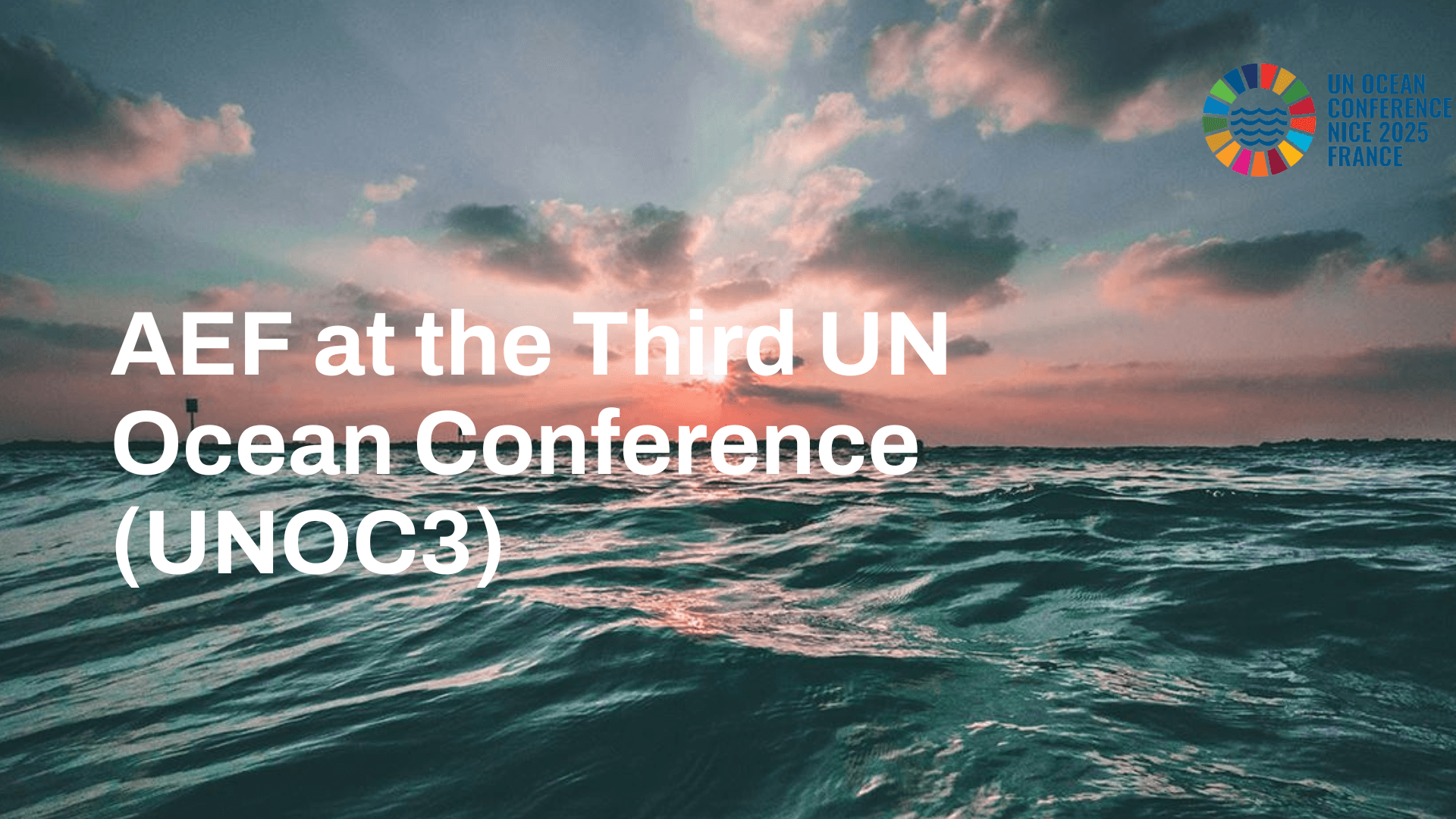 AEF at the 2025 UN Ocean Conference (UNOC3) | Africa-Europe Foundation